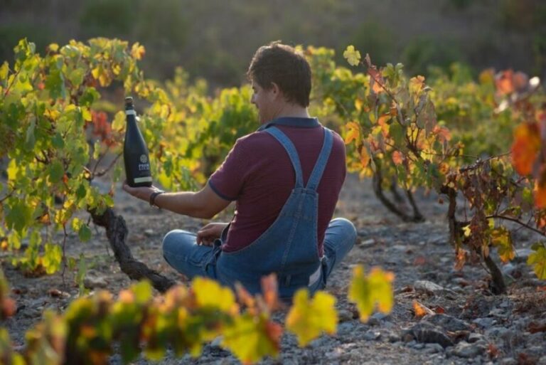 Coimbra: Prior Lucas Wine Experience - The Value of the Experience