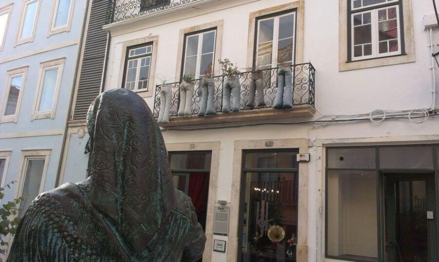 Coimbra Private Walking Tour - A Deep Dive into Coimbras Past and Present