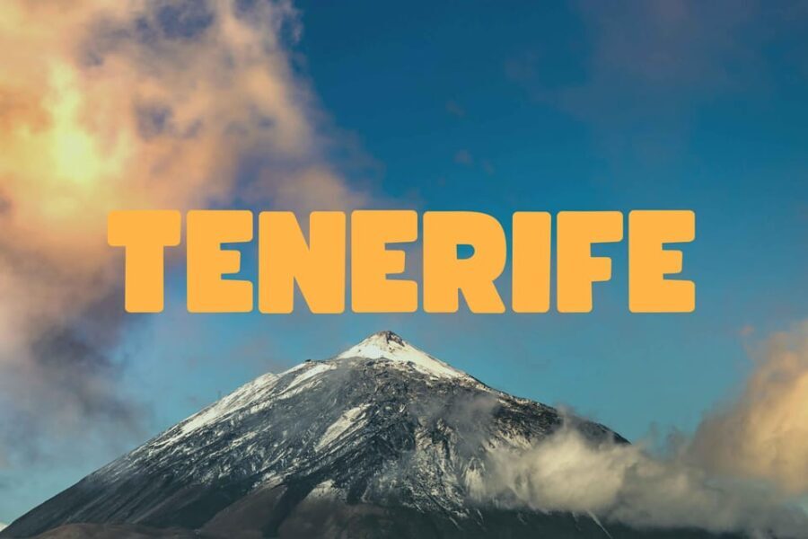 Collective Adventure: Travel & Volunteer in Tenerife - Final Thoughts: Who Is This Tour For?