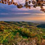 Collio: Cividale Del Friuli and Wine Tastings from Trieste - Why This Tour Brings Value
