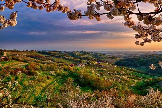 Collio: Cividale Del Friuli and Wine Tastings from Trieste - Why This Tour Brings Value