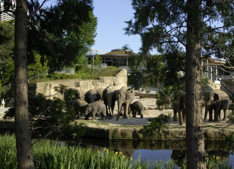Cologne: Cologne Zoo and Aquarium Entry Ticket - Who Will Love Cologne Zoo and Aquarium?