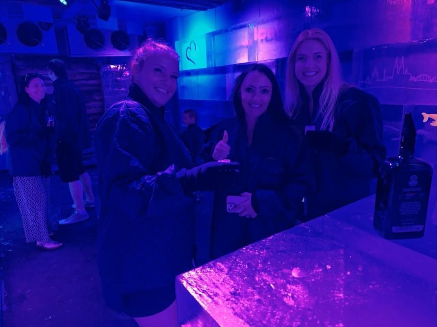 Cologne: IceBar Entry Ticket with Drinks - The Downsides