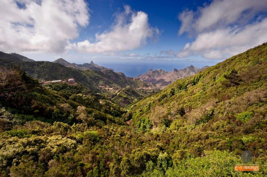 Colon Skies - In-Depth Breakdown of the Itinerary