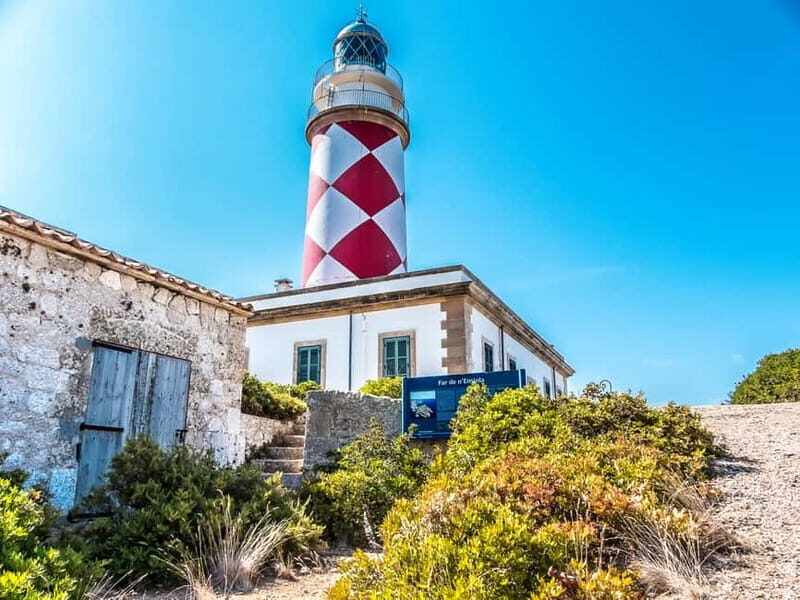 Colonia Sant Jordi: Classic & Express Boat Tour to Cabrera - How Good Is the Value?