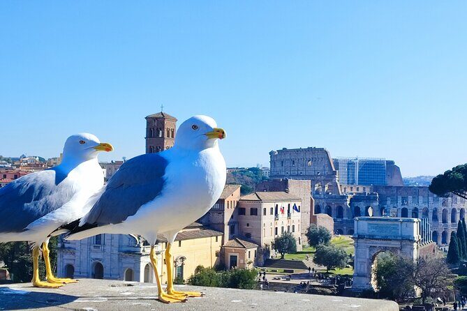 Colosseum, Roman Forum & Palatine Hill - Group Tour - The Challenges and Considerations