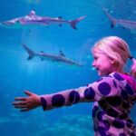 Combi Ticket: LEGOLAND Discovery Centre & SEA LIFE Oberhausen - Practical Details and Tips for Visitors