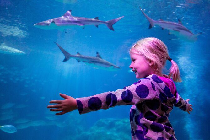 Combi Ticket: LEGOLAND Discovery Centre & SEA LIFE Oberhausen - Practical Details and Tips for Visitors