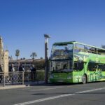 Combo: Hop on hop off + Flamenco Show & Walking tours - Flamenco Show in the Heart of Seville