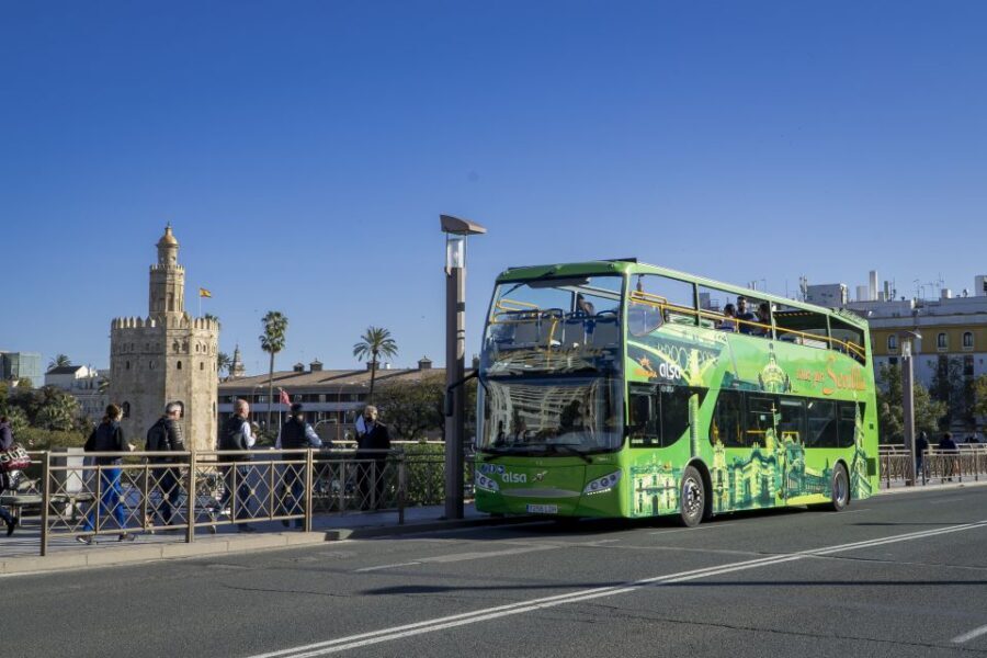 Combo: Hop on hop off + Flamenco Show & Walking tours - Flamenco Show in the Heart of Seville