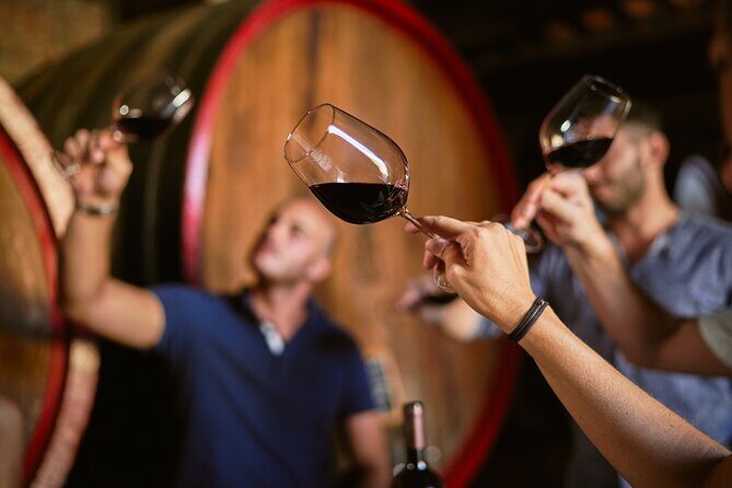 Complete tasting of Castello di Bossi - Who Will Love This Tour?
