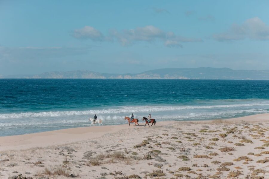 Comporta: Guided Horseback Riding Experience - Detailed Itinerary and What to Expect