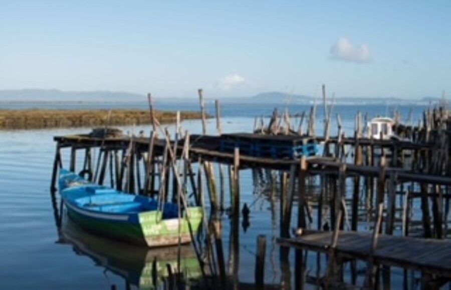 Comporta to Alcacer do Sal boat trip - Why This Trip Could Be a Great Choice