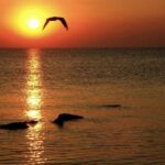 Constanta: Full Day Tour from Bucharest to the Black Sea - Everything You Need to Know About the Itinerary