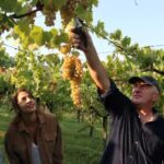 Contadina Breakfast at a Farm - 30 min from Rome - Setting the Scene: What to Expect on This Tour