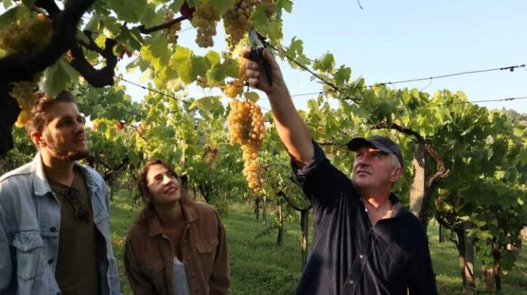 Contadina Breakfast at a Farm - 30 min from Rome - Setting the Scene: What to Expect on This Tour