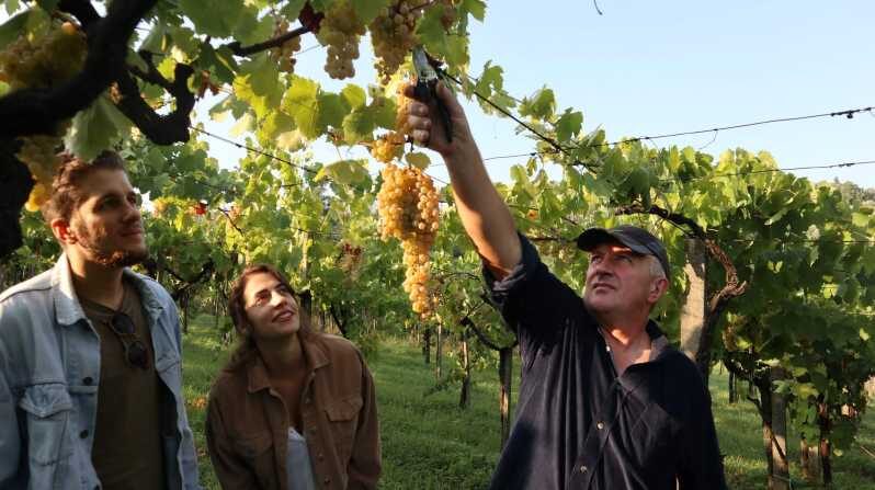 Contadina Breakfast at a Farm - 30 min from Rome - Setting the Scene: What to Expect on This Tour