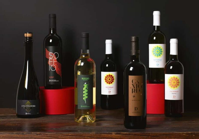 Conversano: wine tasting tour in the winery - What Makes This Tour Special?