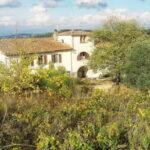 Cooking Class on a Traditional Tuscan Farm - Authenticity and Reviews: What Previous Participants Say