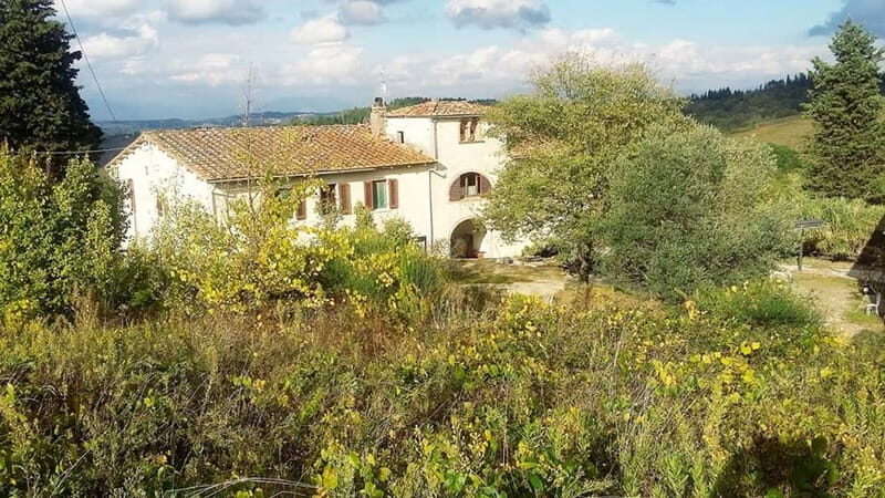 Cooking Class on a Traditional Tuscan Farm - Authenticity and Reviews: What Previous Participants Say