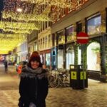 Copenhagen: Christmas Charm Walking Tour with Holiday Beer - The Craft and the Tastes: What Sets This Tour Apart?