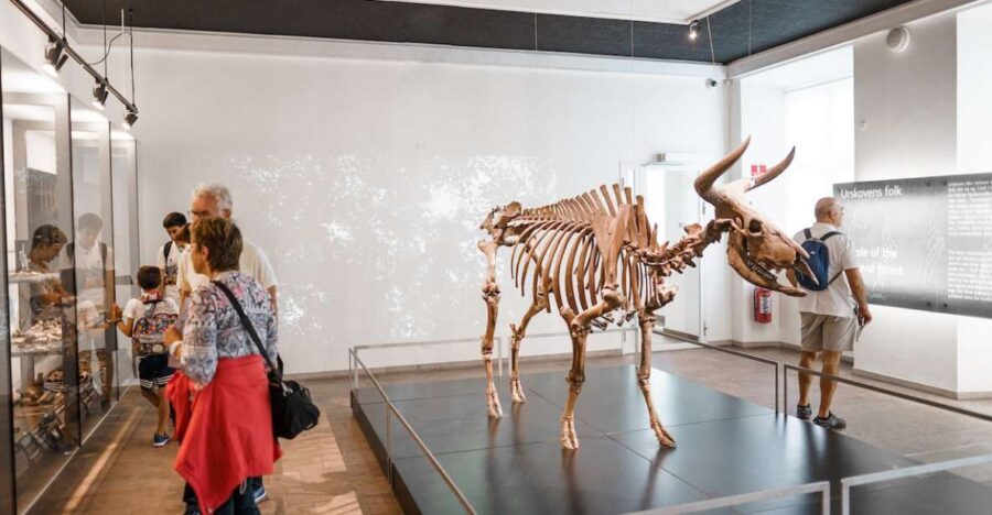 Copenhagen: National Museum of Denmark Entry Ticket - What You Can Expect From Your Visit
