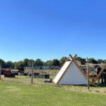Copenhagen: Roskilde, the Viking City Tour in English - What Reviewers Say