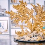 Coral workshop and visit of the museum in Sciacca - What to Expect During the Tour