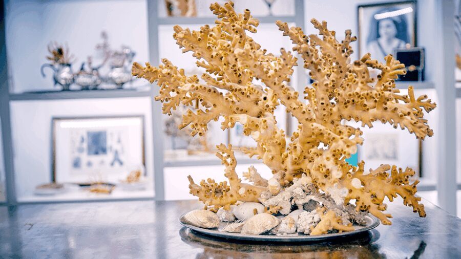 Coral workshop and visit of the museum in Sciacca - What to Expect During the Tour