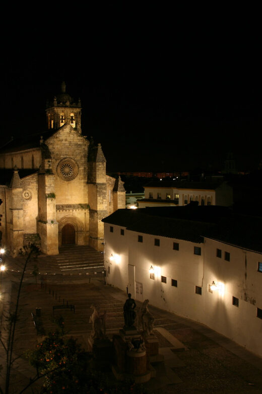 Cordoba at Night by Bike, Electric Bike - Authentic Insights from Travelers