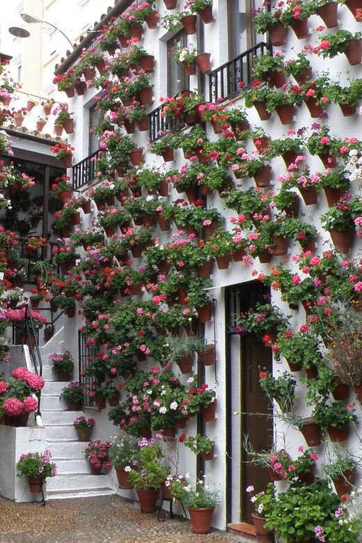 Cordoba Courtyards by Bike, Electric Bike - The Patios Themselves