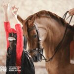 Cordoba: Equestrian Show General Entry - What the Reviews Say