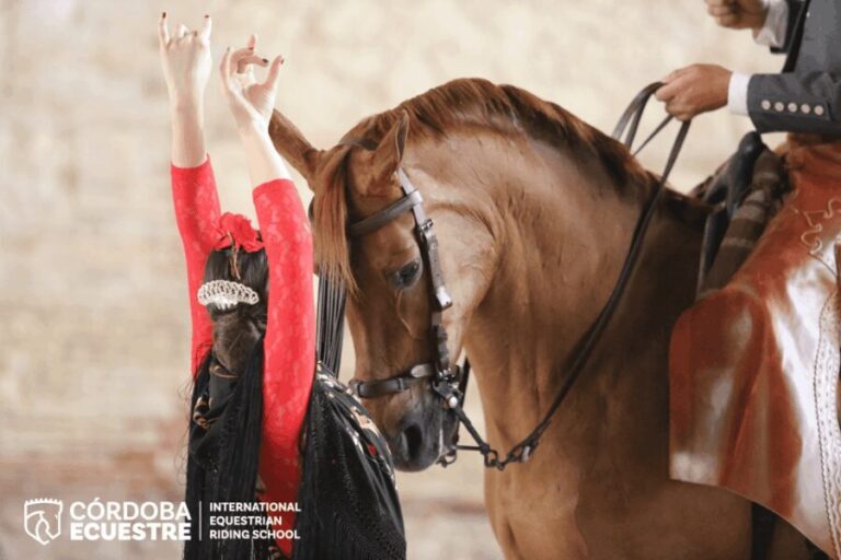 Cordoba: Equestrian Show General Entry - What the Reviews Say