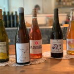 Cordoba: From Vine to Table: A Spanish Wine Experience - A Closer Look at the Experience