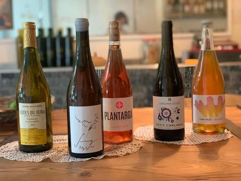 Cordoba: From Vine to Table: A Spanish Wine Experience - A Closer Look at the Experience
