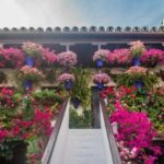 Córdoba: Guided Tour of the Patios - The Itinerary in Detail