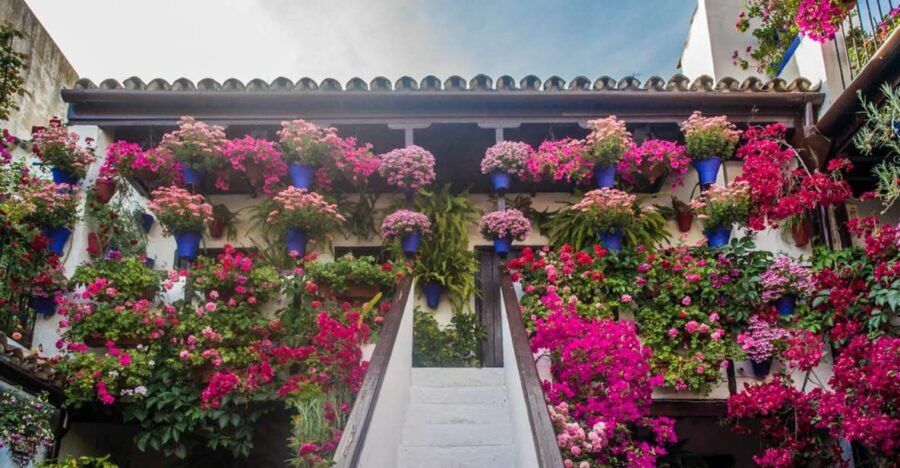 Córdoba: Guided Tour of the Patios - The Itinerary in Detail