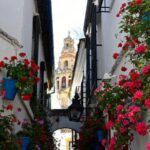 Córdoba: Mosque-Cathedral of Cordoba Private Walking Tour - The Itinerary in Detail