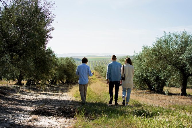 Cordoba Olive Oil mill, Wine, Passion - A Detailed Look at the Córdoba Olive Oil, Wine, and Passion Tour