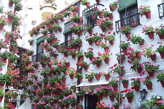 Cordoba private tour from Granada for up to 8 persons including the great Mosque - A Walk-Through of the Cordoba Private Tour from Granada