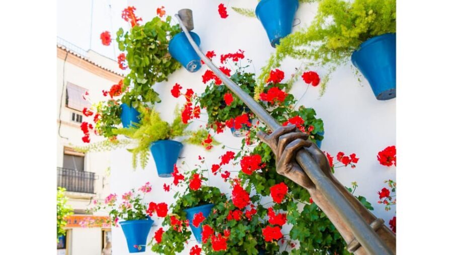 Cordoba's Authentic Patios: 2-Hour Tour with Tickets - Who Should Consider This Tour?