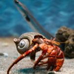 Corfu: Aquarium Entry Ticket with Guided Tour - Is This Tour Worth It?