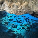 Corfu Grand Island VIP Tour - Who Should Consider This Tour?