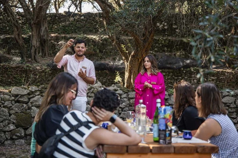 Corfu: Guided Olive Groves Tour with Olive Oil Tasting - The Practicalities: What You Need to Know