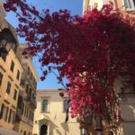 Corfu: History and Culture Walking Tour - Who Should Consider This Tour?