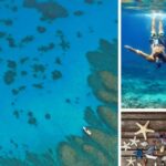Corfu: Paxos Island Full-Day Cruise with Blue Caves - Exploring the Blue Caves
