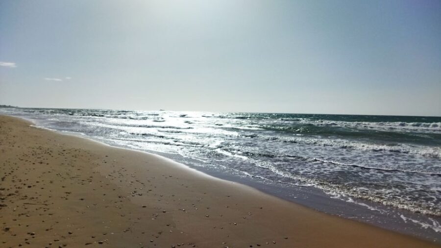 Corfu: Private Full-Day Northern Beaches Tour - The Itinerary Explored