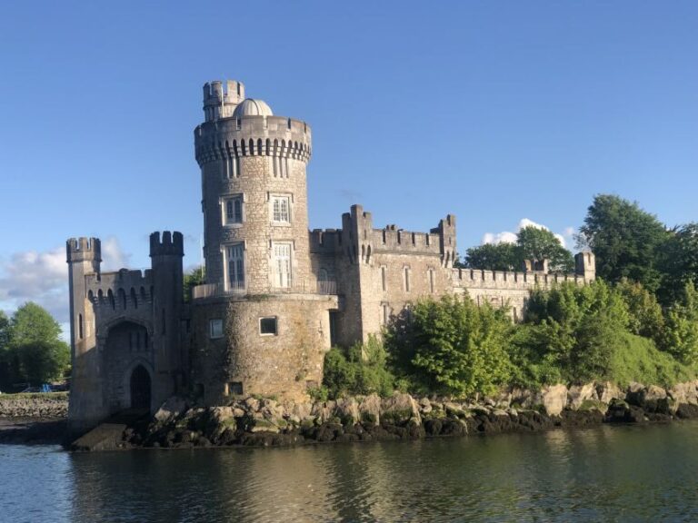 Cork: 2-Hour Guided Cork Harbour Scenic Cruise - Authentic Reviews and Insights