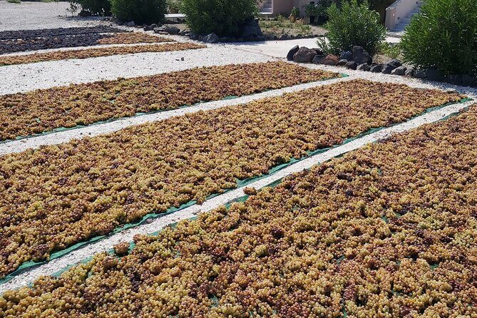 Cork & Fork Tour in Santorini with 2 Wineries and Lunch - Why This Tour Might Be Perfect for You
