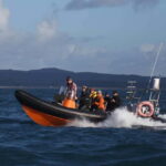 Cornwall: 2 hour Wildlife Watching RIB Tour - The Experience: What to Expect When You Join the Tour